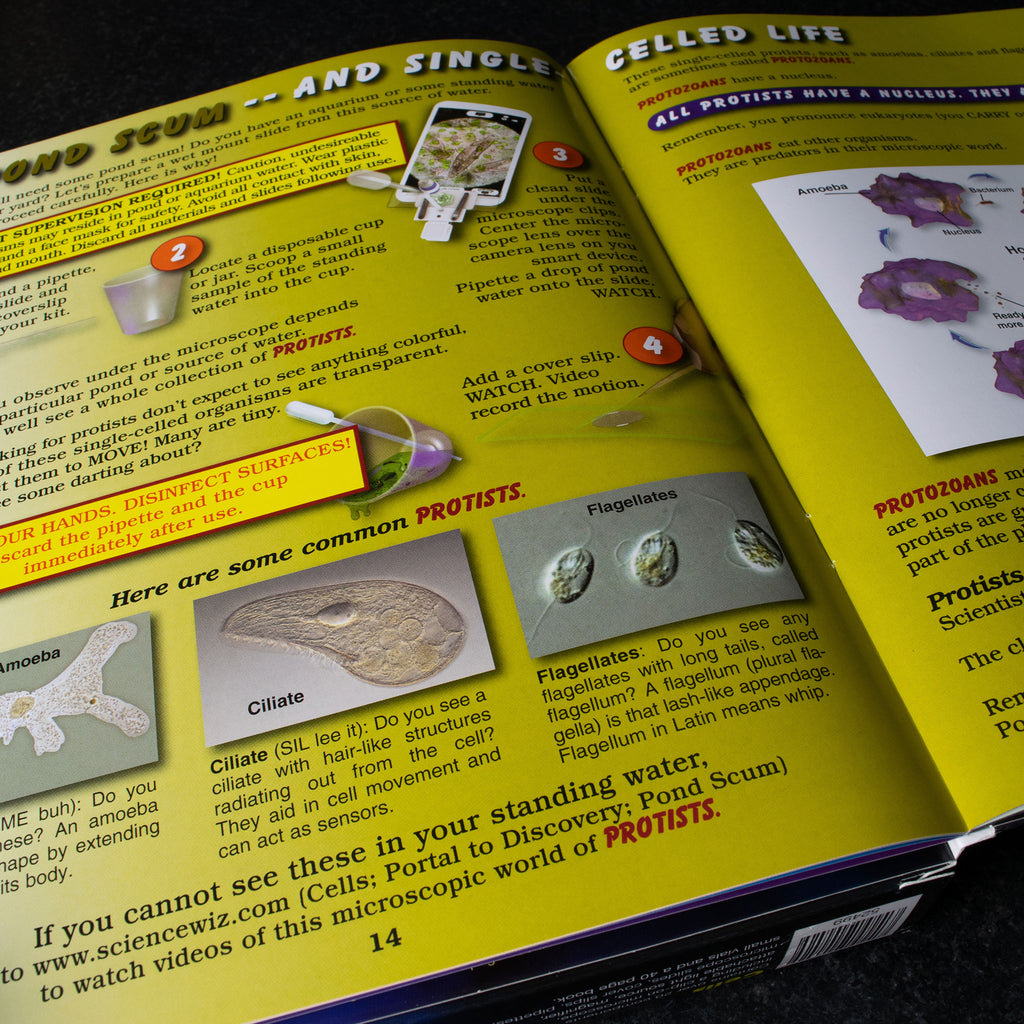 Cells Book and Kit – National Archives Store