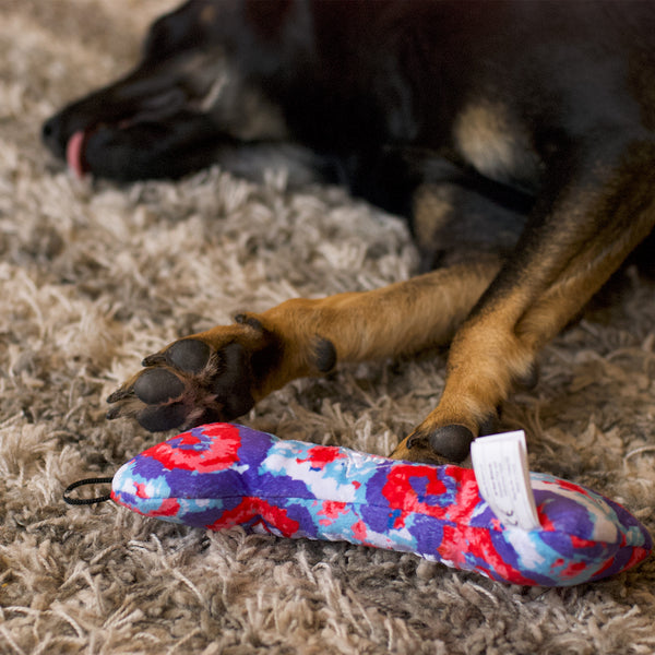 Medium USA PUP Bone Dog Toy – National Archives Store