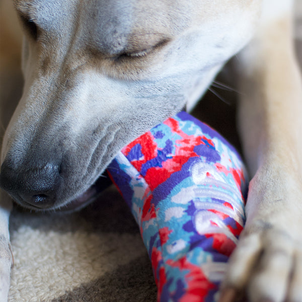 Large USA PUP Bone Dog Toy – National Archives Store
