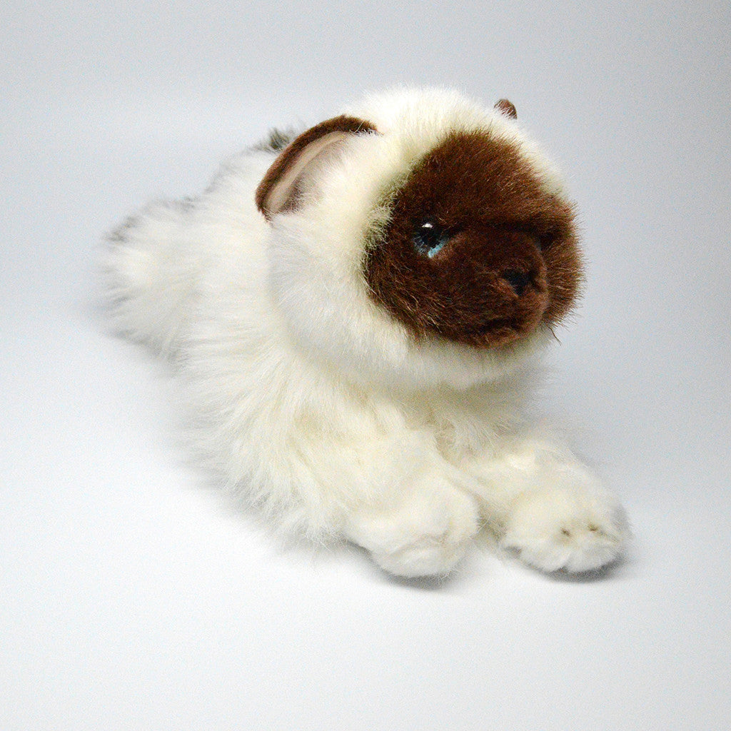 Angora Plush Cat – National Archives Store